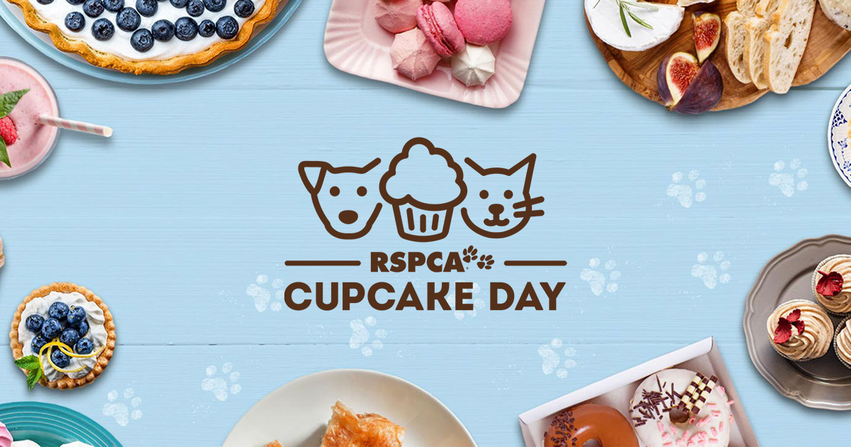 RSPCA Cupcake Day : Rewards